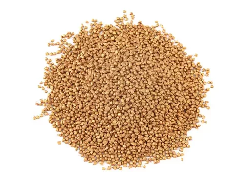 Understanding Masterbatch: Components, Types, and Production